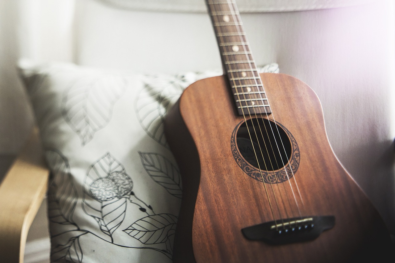 Ash vs. Alder Guitar: Know the Differences - Anita Collins Music